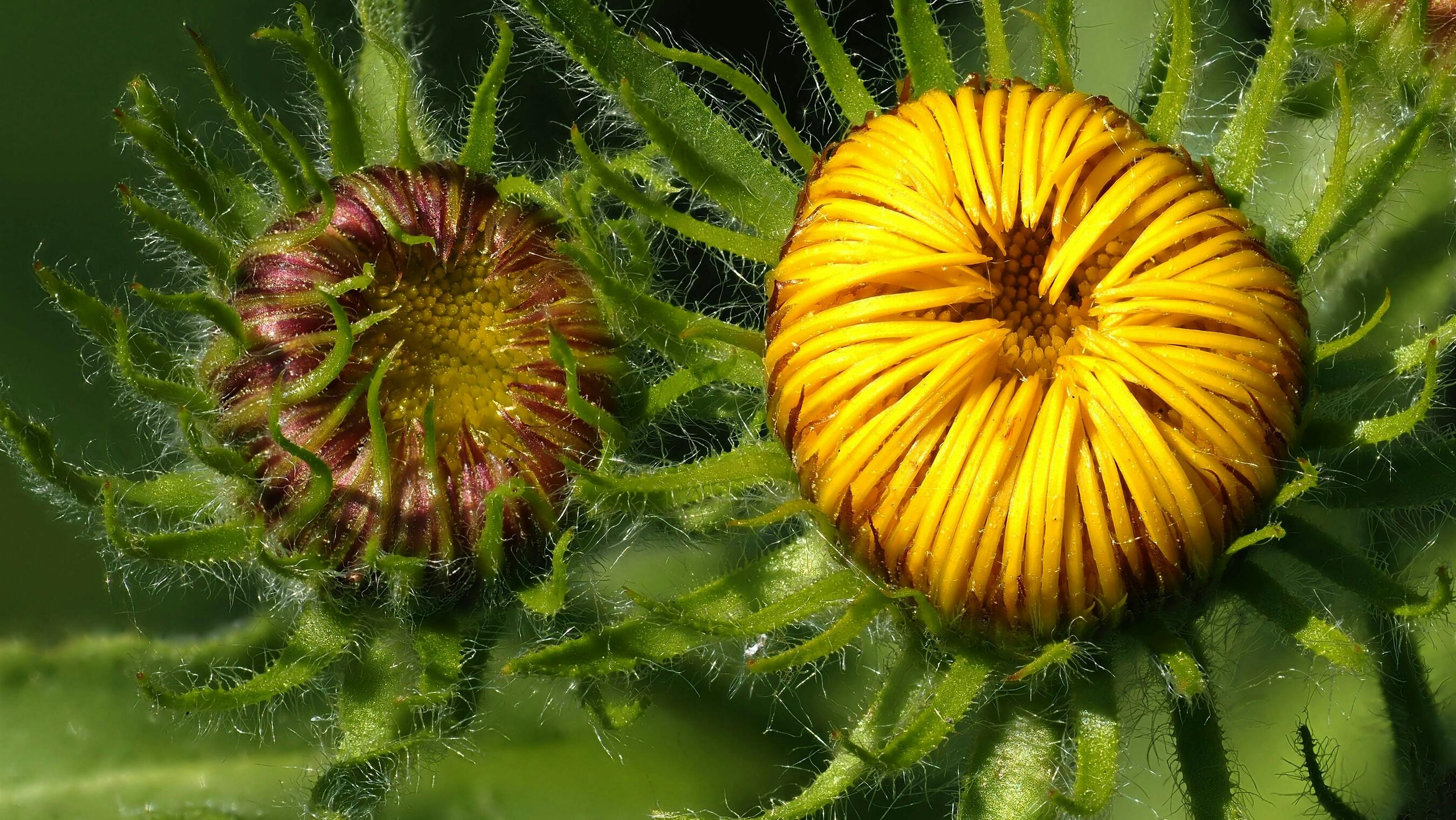 How to Start Making Real Change With Those You’d Rather Cancel | CIIS