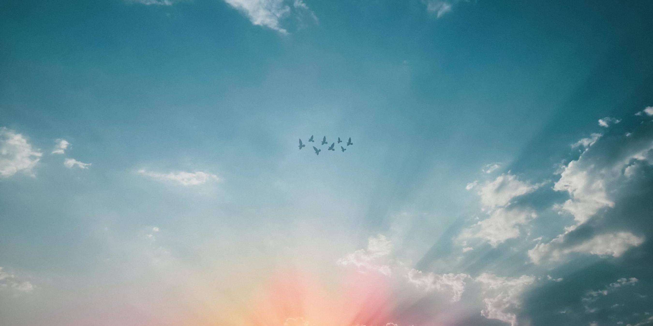 Overview - Blue Sky Leaders Certificate Program | CIIS