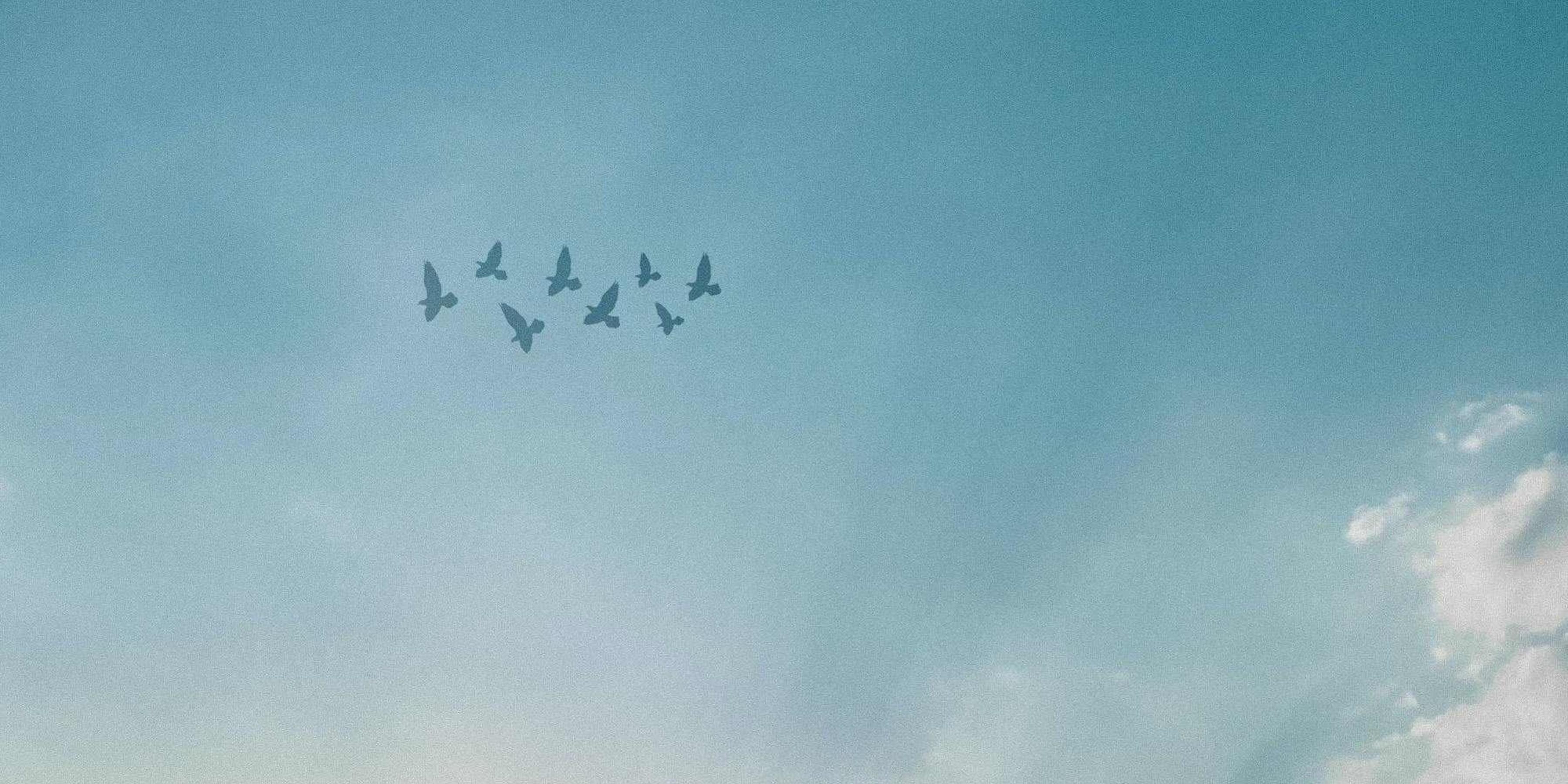 About - Blue Sky Leaders Certificate Program | CIIS