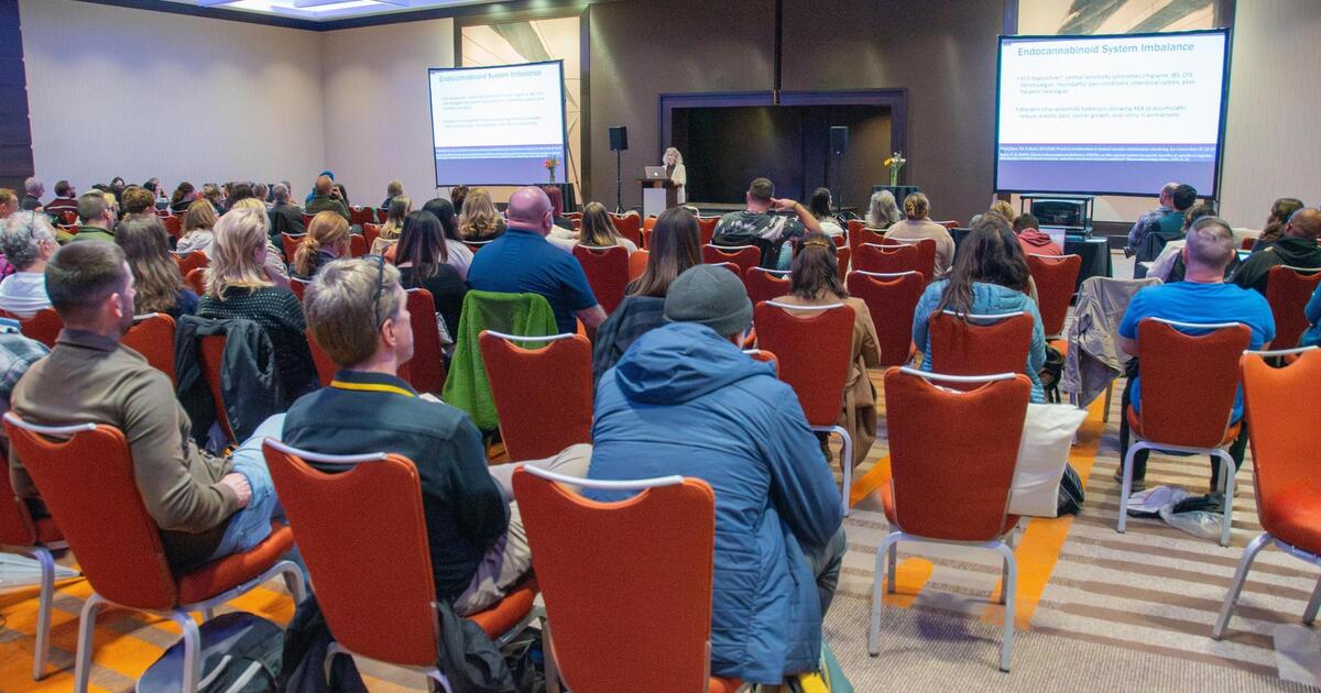 Psychedelic-Assisted Therapies & Research Certificate - Info Session 7/8/2025 | CIIS